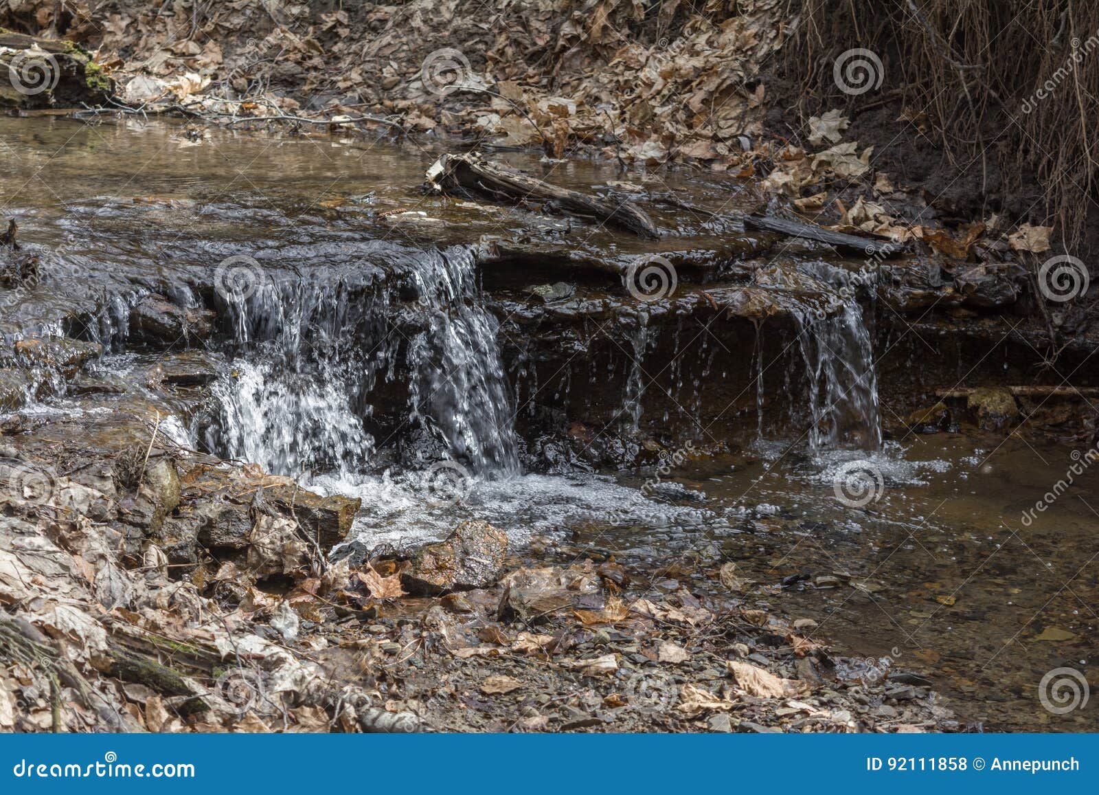 Stream in the Forest. Small Waterfall in the Wilderness Stock Photo ...