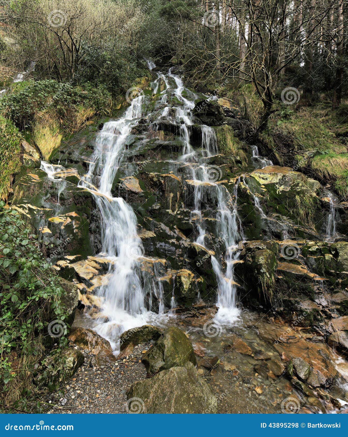Stream in the forest stock photo. Image of beauty, stone - 43895298