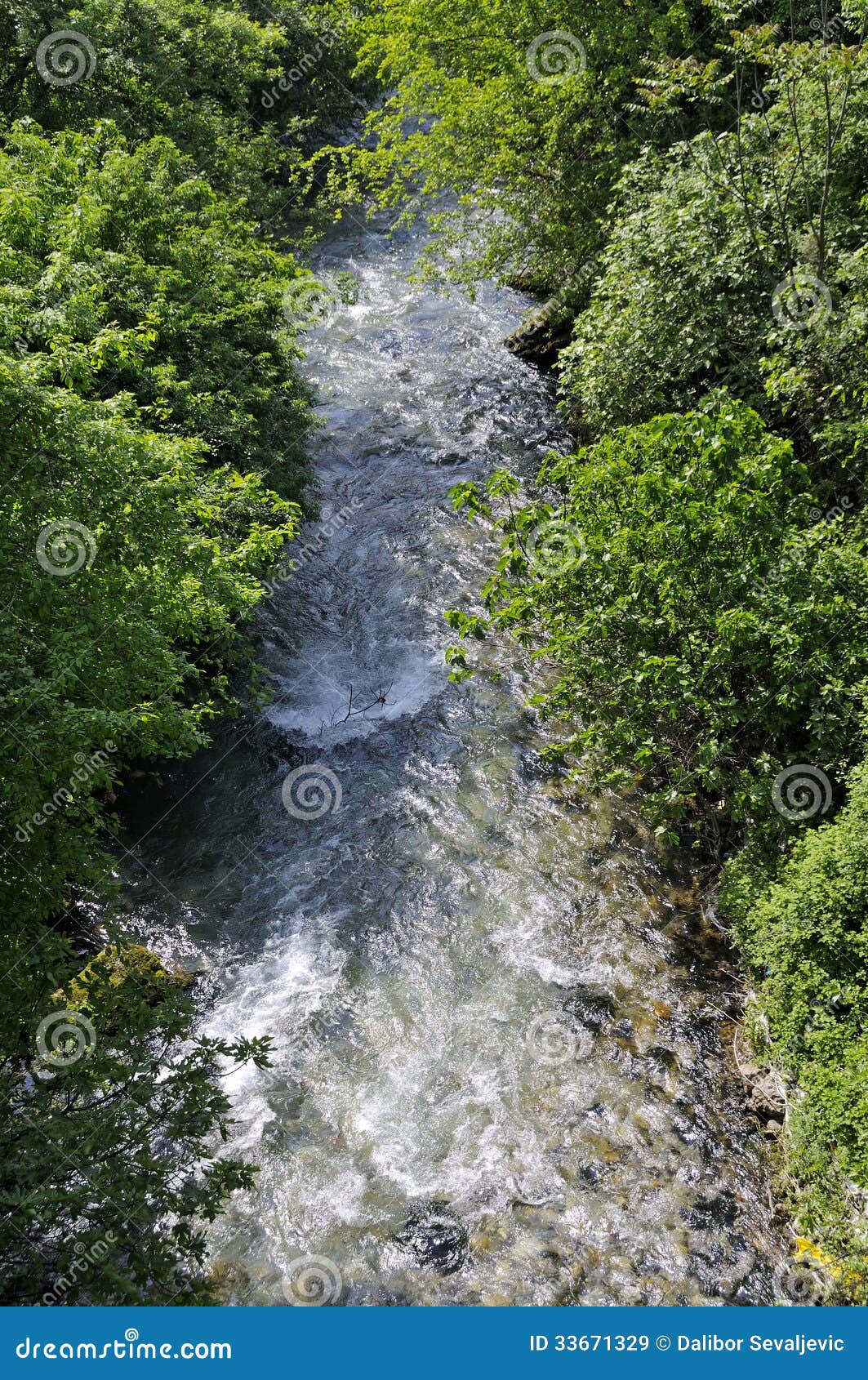 Stream through the forest stock image. Image of tropical - 33671329