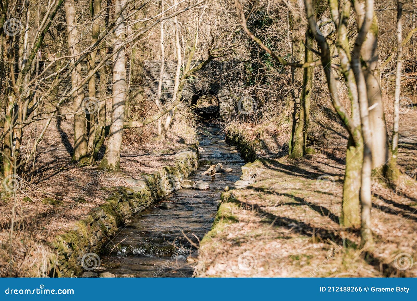 A Stream in Forrest with a Stone Bridge in Kielder England Stock Photo ...