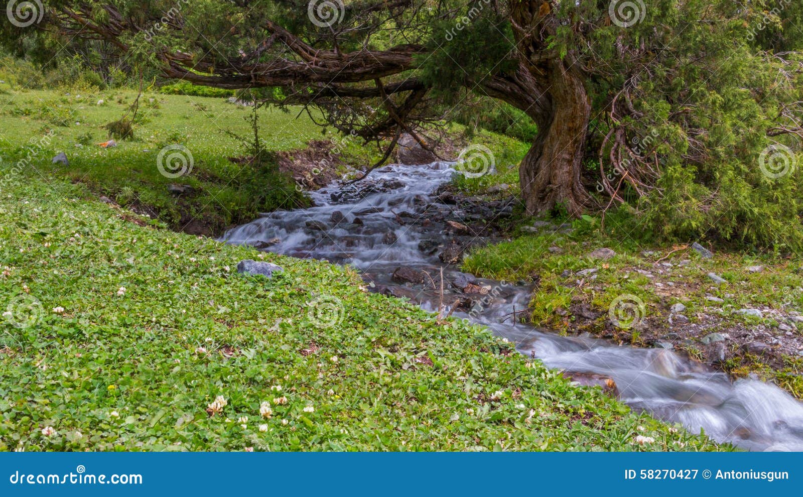 Stream stock image. Image of green, cold, fresh, shade - 58270427