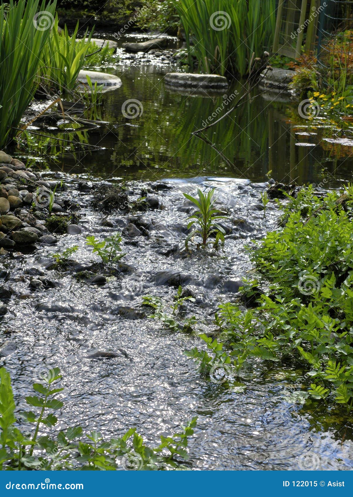 Stream in garden stock image. Image of wheel, creek, flowing - 122015