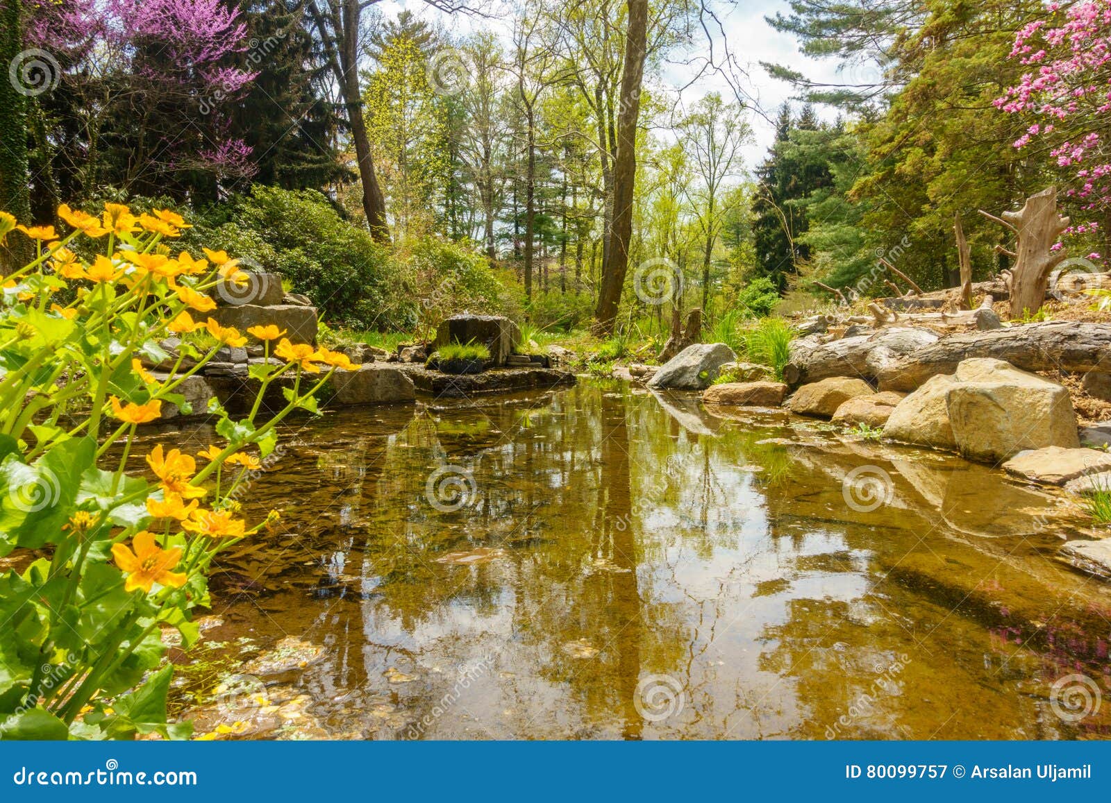 Stream in garden stock image. Image of stream, greenery - 80099757