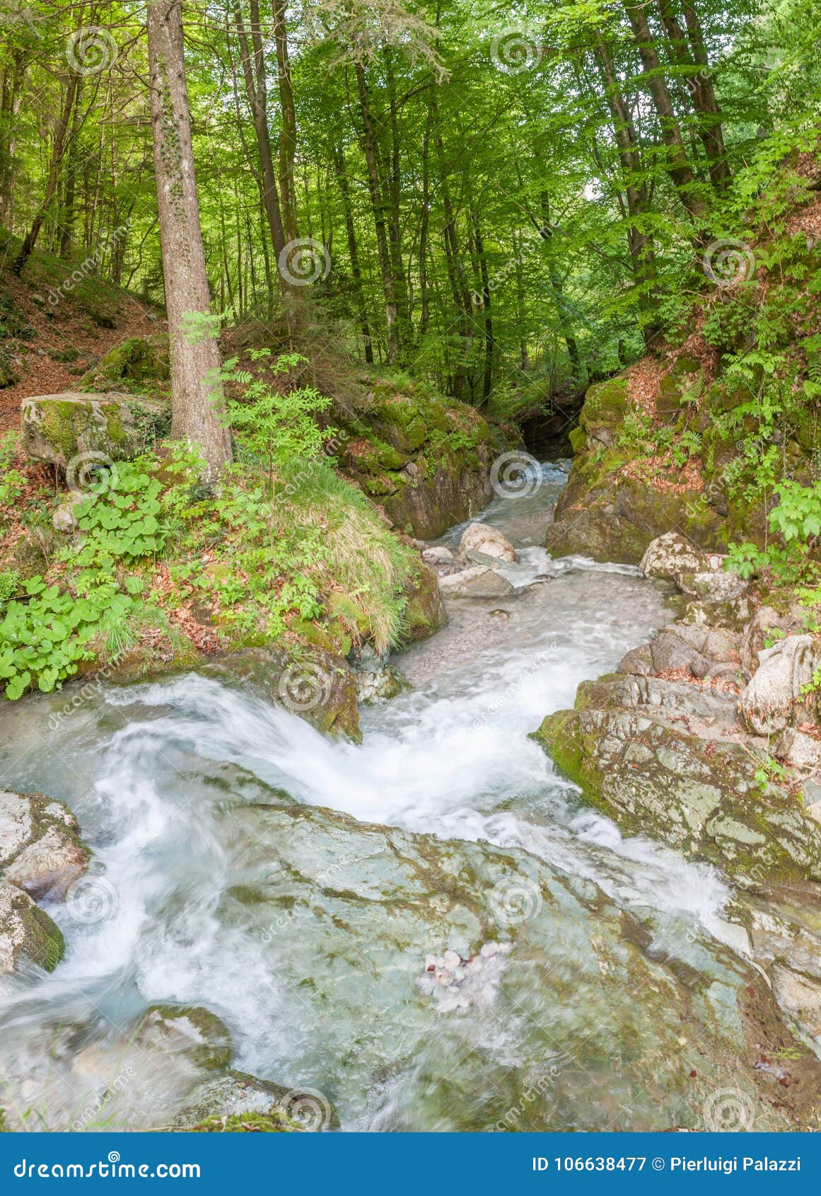 River, stock image. Image of downhill, shore, forest - 106638477