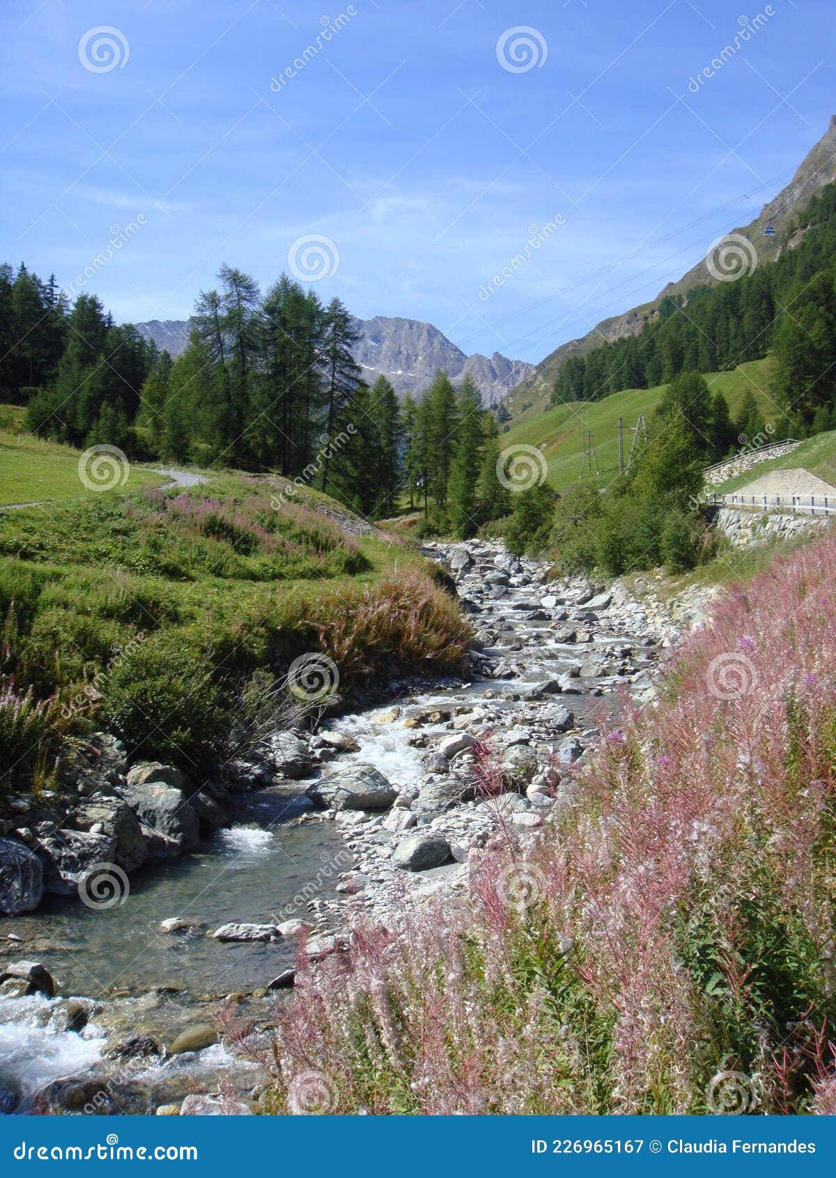 Stream Going through the Mountains Stock Image - Image of walking ...