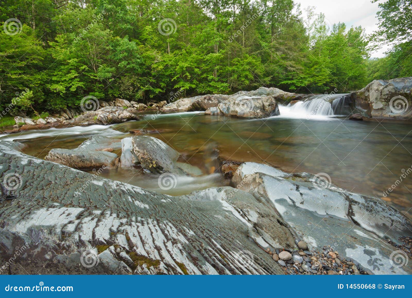Stream, the Great Smoky Mountains National Park Stock Photo - Image of ...