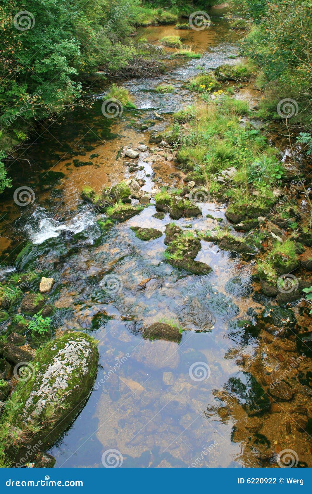 Stream in the Green stock photo. Image of stream, flow - 6220922