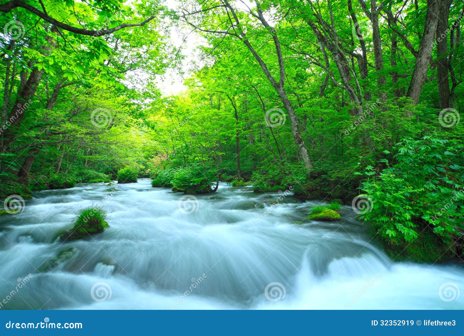 Stream in green forest stock image. Image of mountains - 32352919