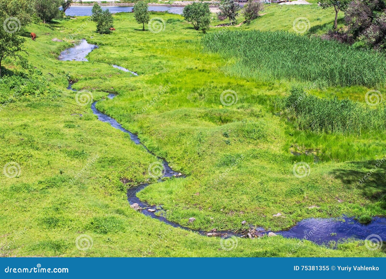 Stream Green Pasture Stock Photos - Download 2,569 Royalty Free Photos