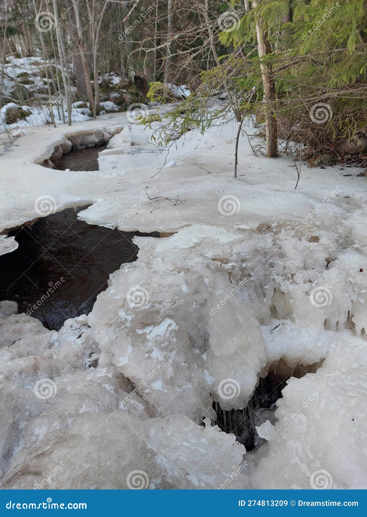 A Stream Halfway Half Frozen Water River Ice Cold Forest Stock Image ...