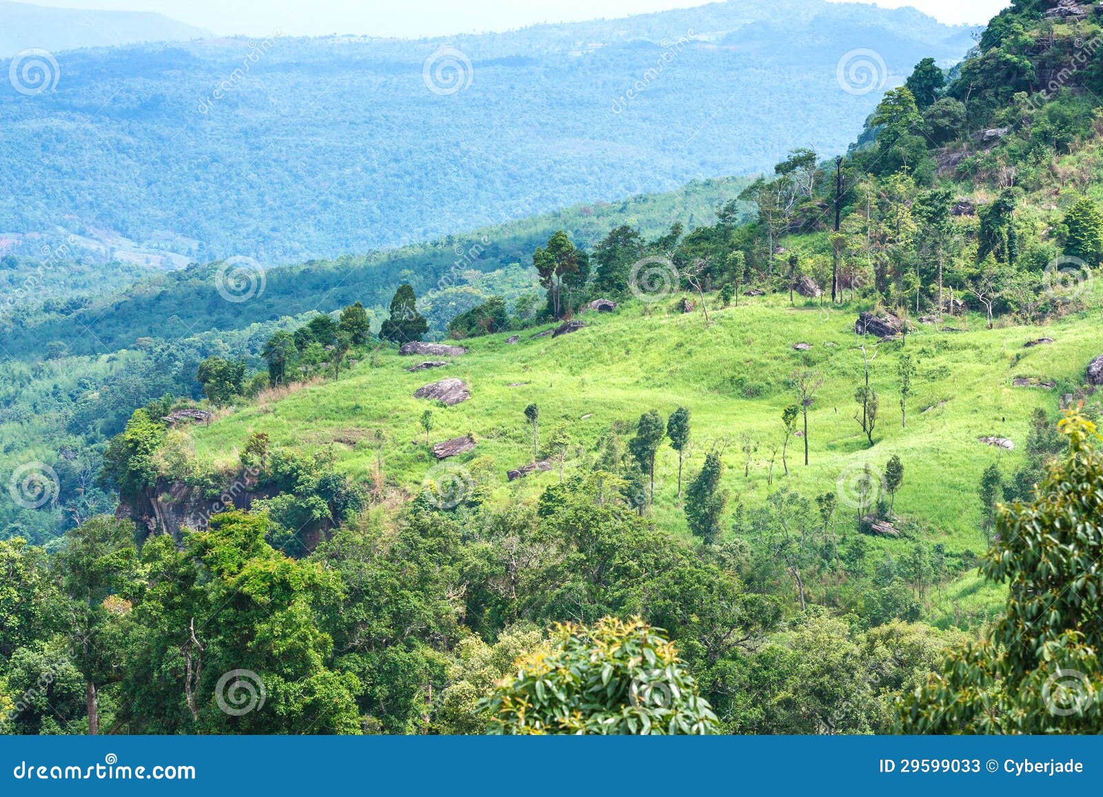 Stream in a Heart of Rain Forest Stock Image - Image of adventure ...