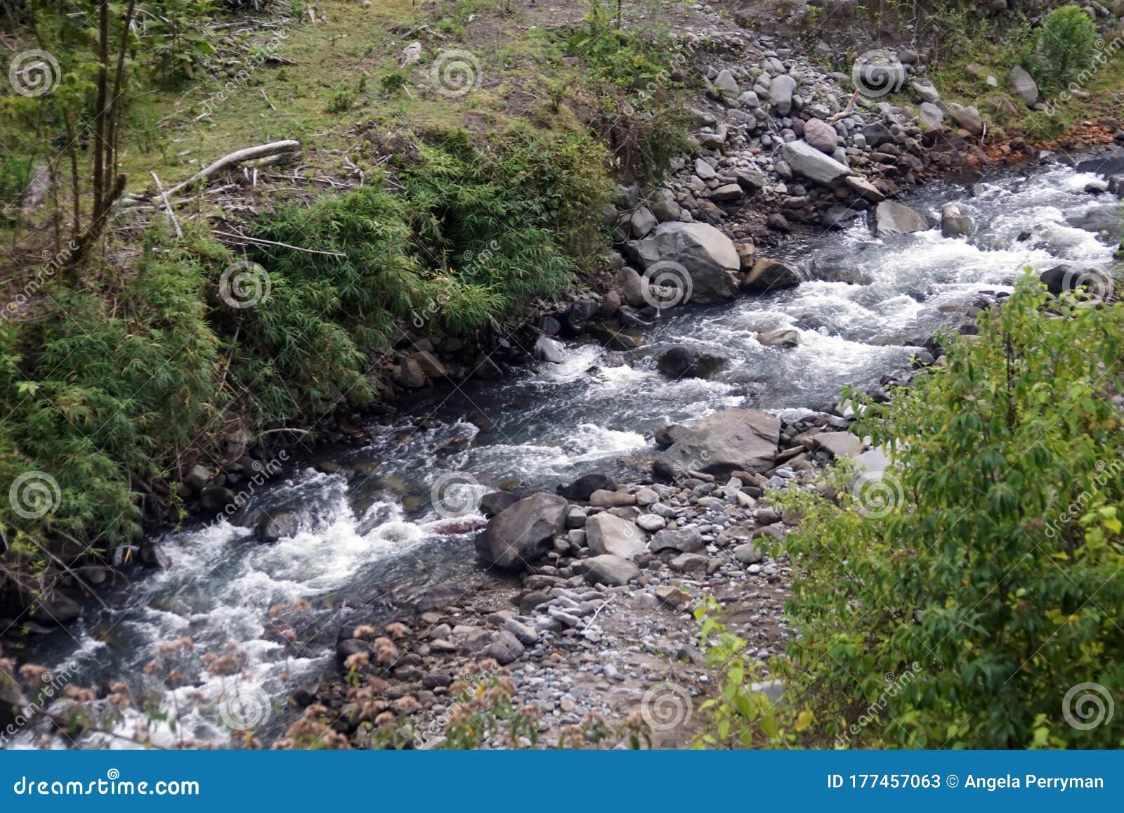 Stream in the Intag Valley stock image. Image of river - 177457063