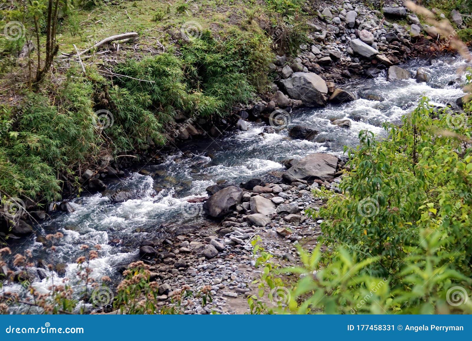 Stream in the Intag Valley stock image. Image of ecuador - 177458331