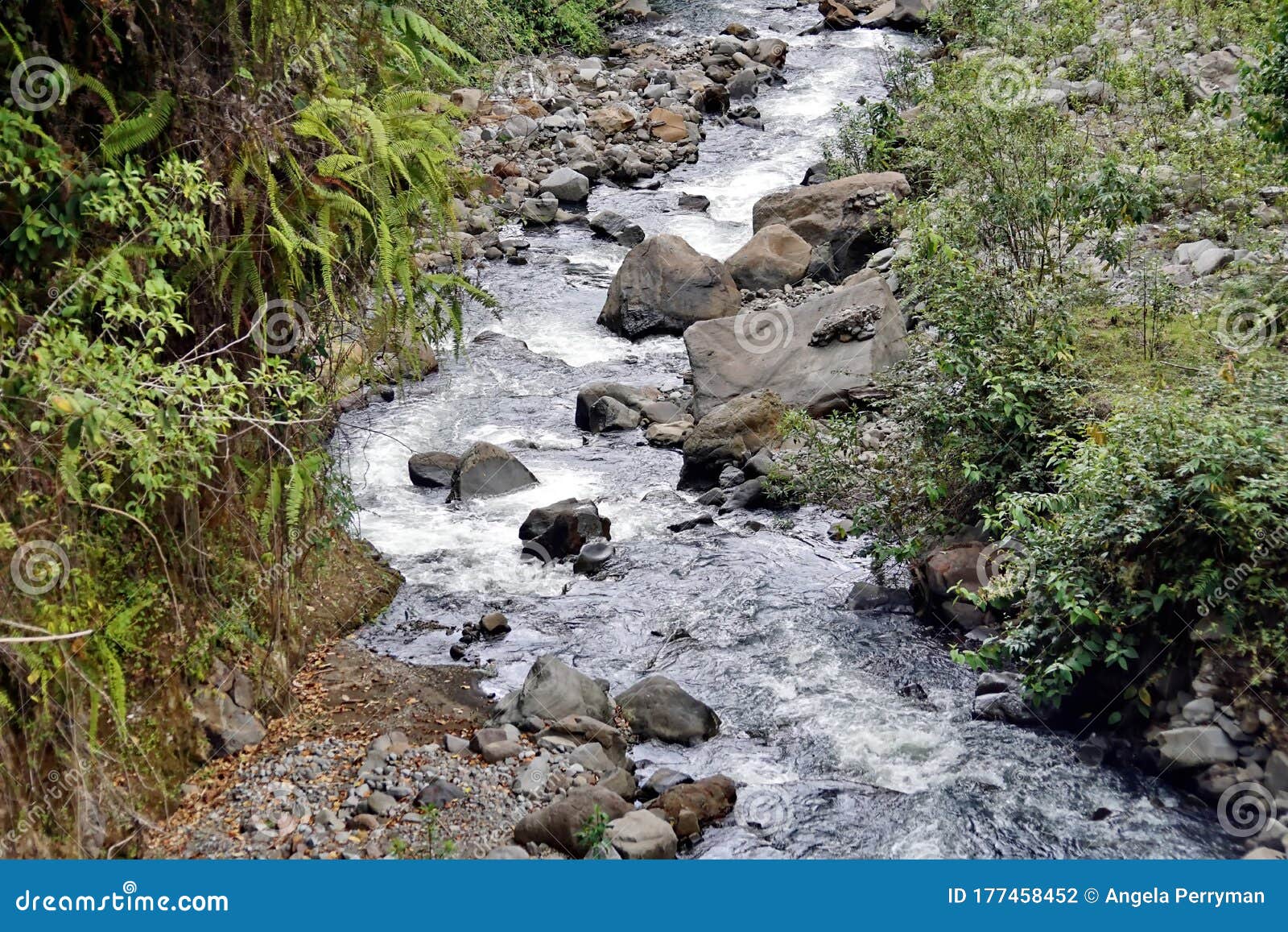Stream in the Intag Valley stock photo. Image of rosa - 177458452