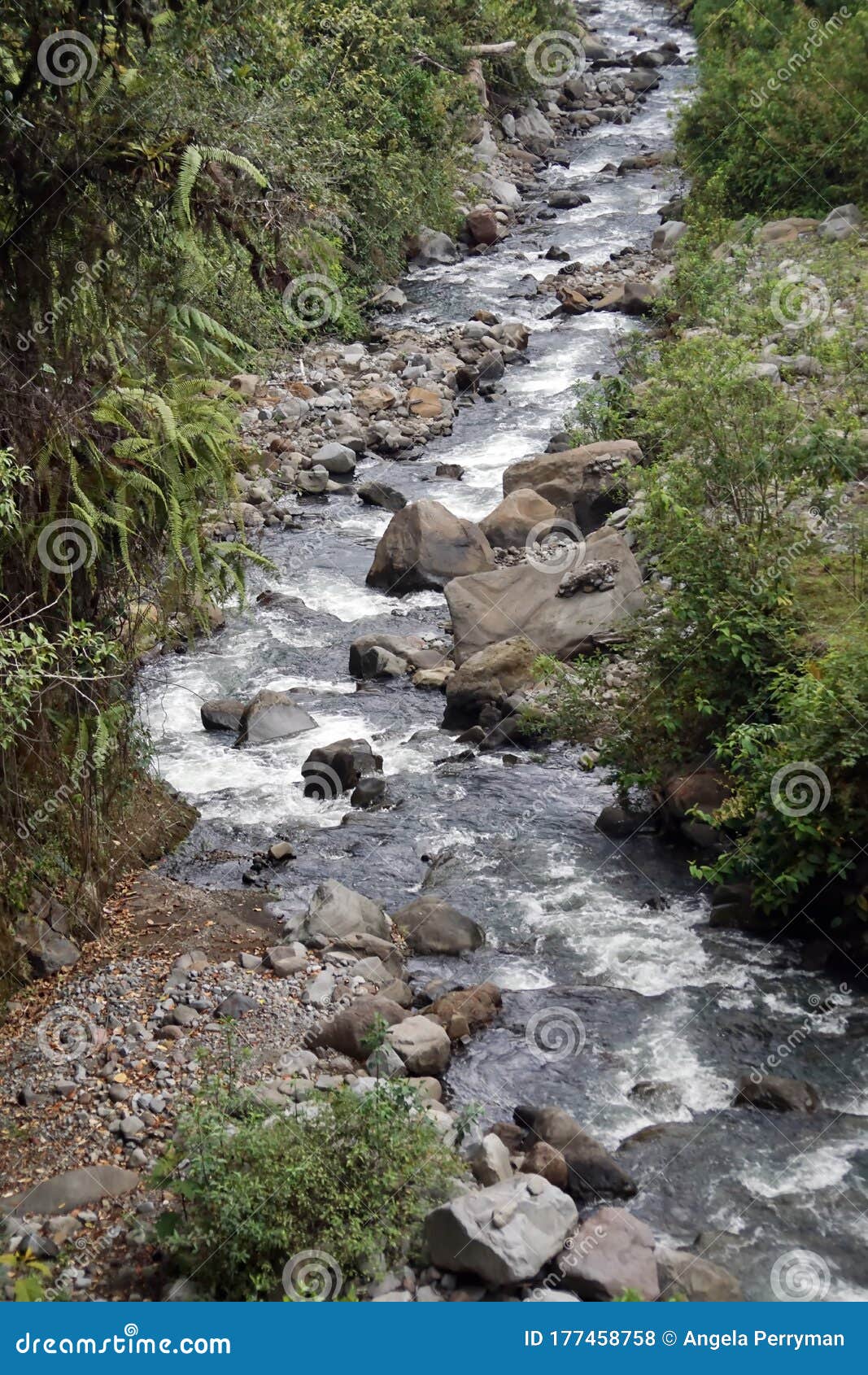 Stream in the Intag Valley stock photo. Image of valley - 177458758