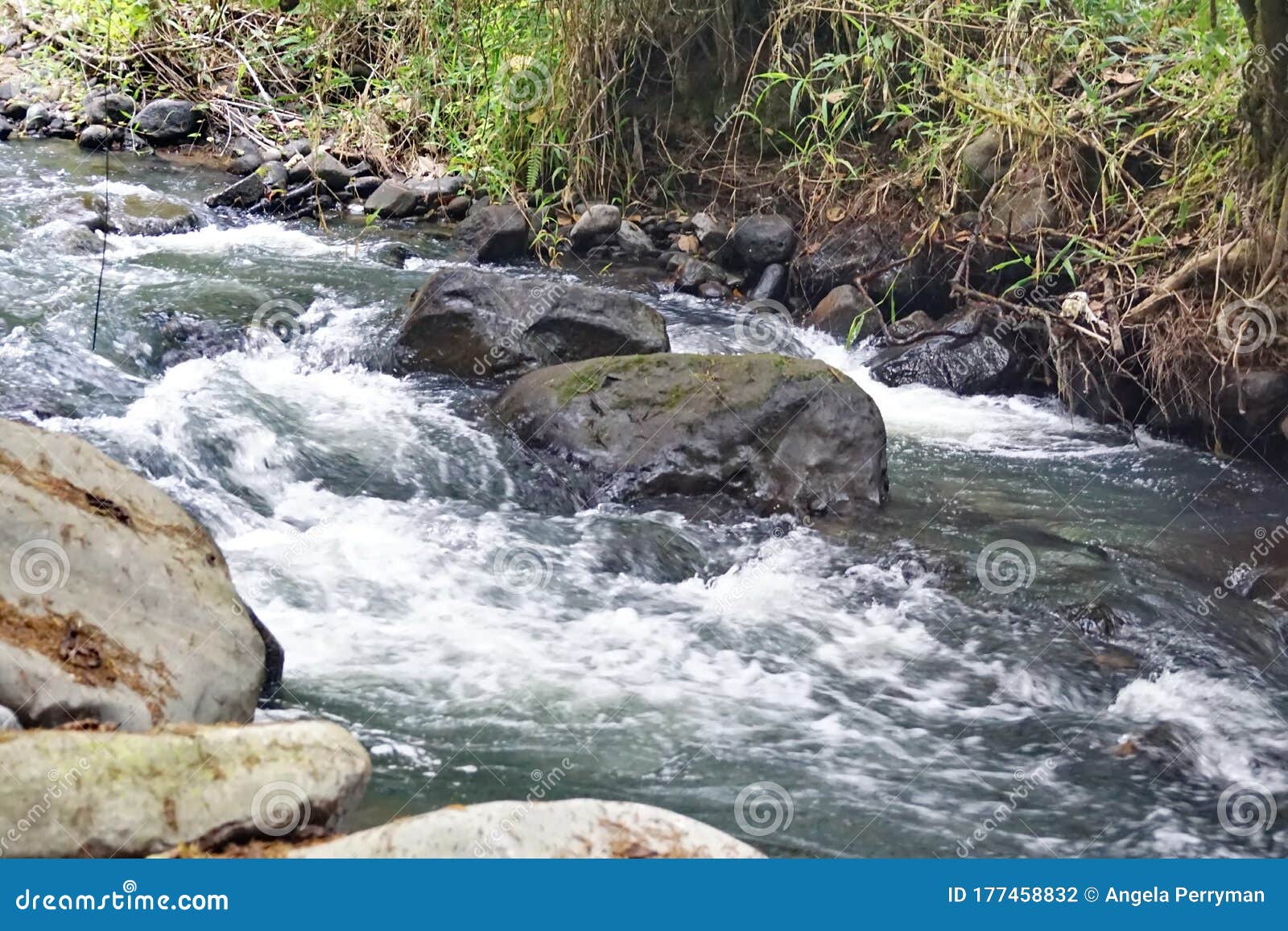 Stream in the Intag Valley stock photo. Image of lodge - 177458832