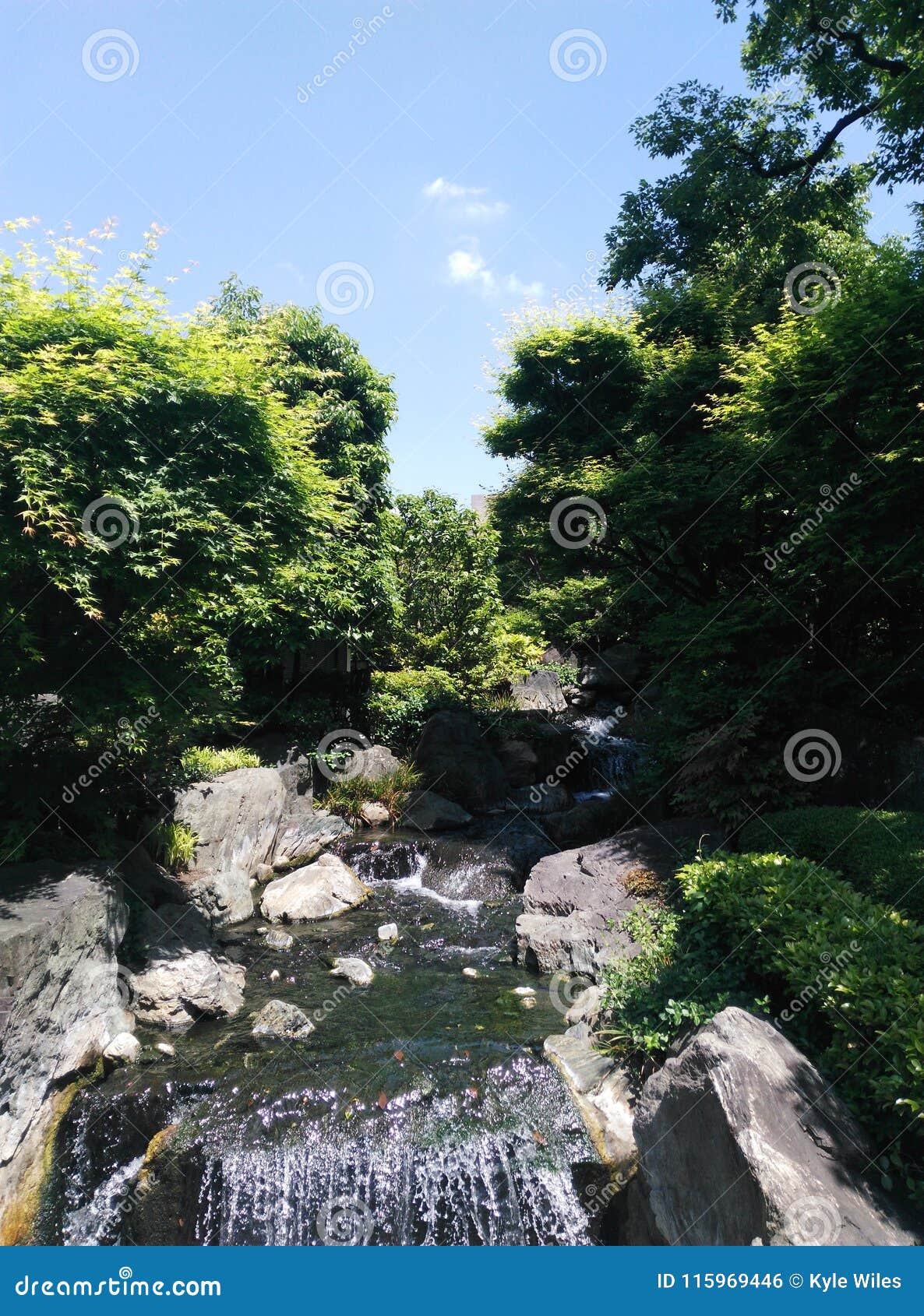 Stream in Japan stock photo. Image of temple, river - 115969446