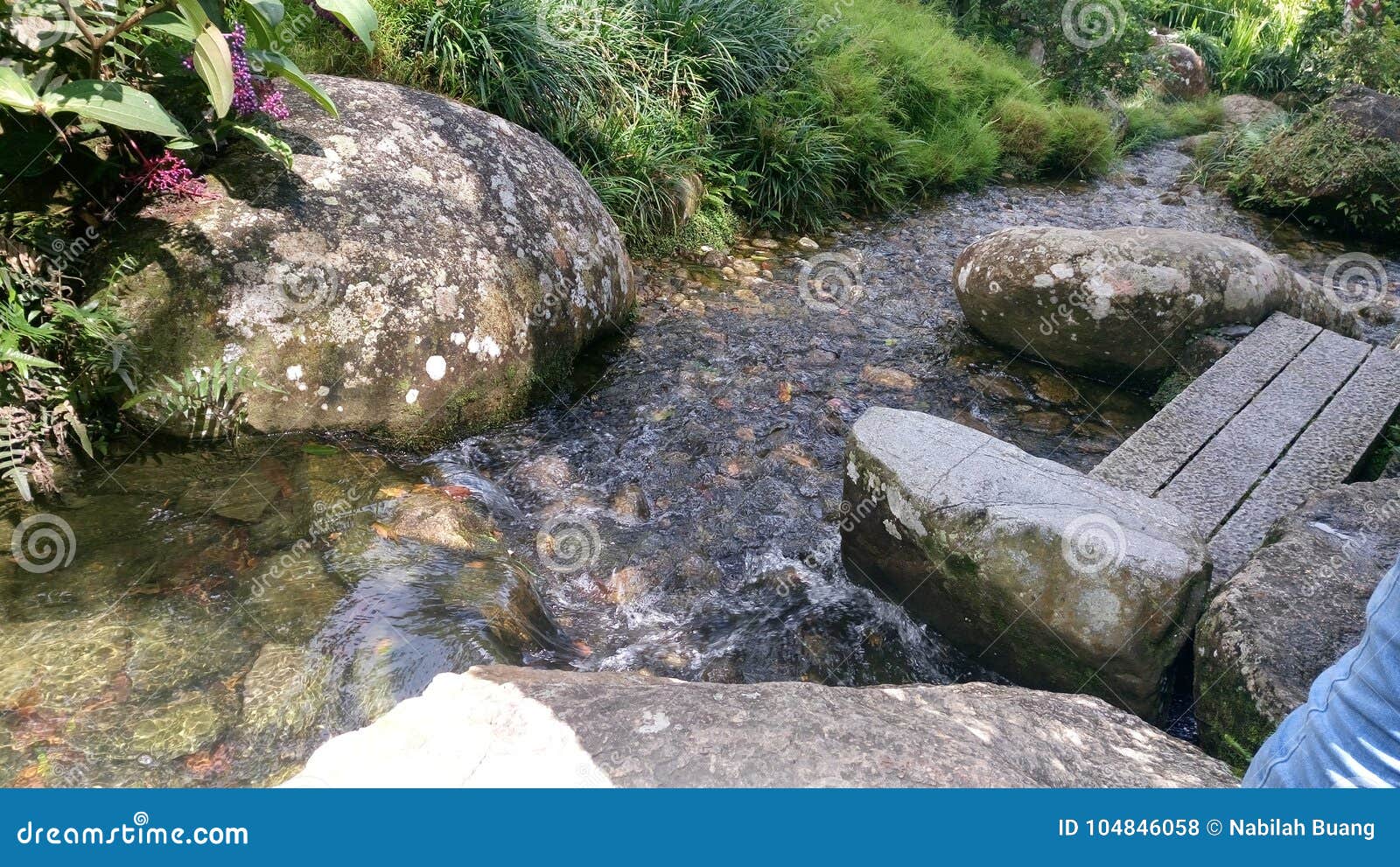 Stream stock photo. Image of stream, japanese, village - 104846058