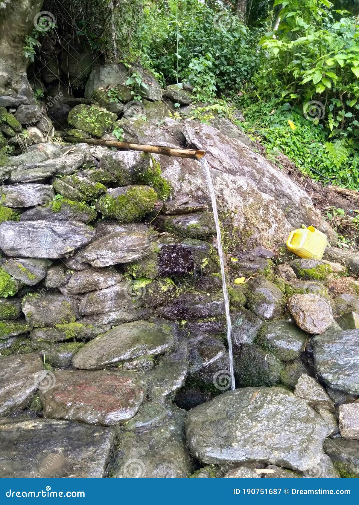 A stream in the jungle. stock image. Image of birthday - 190751687