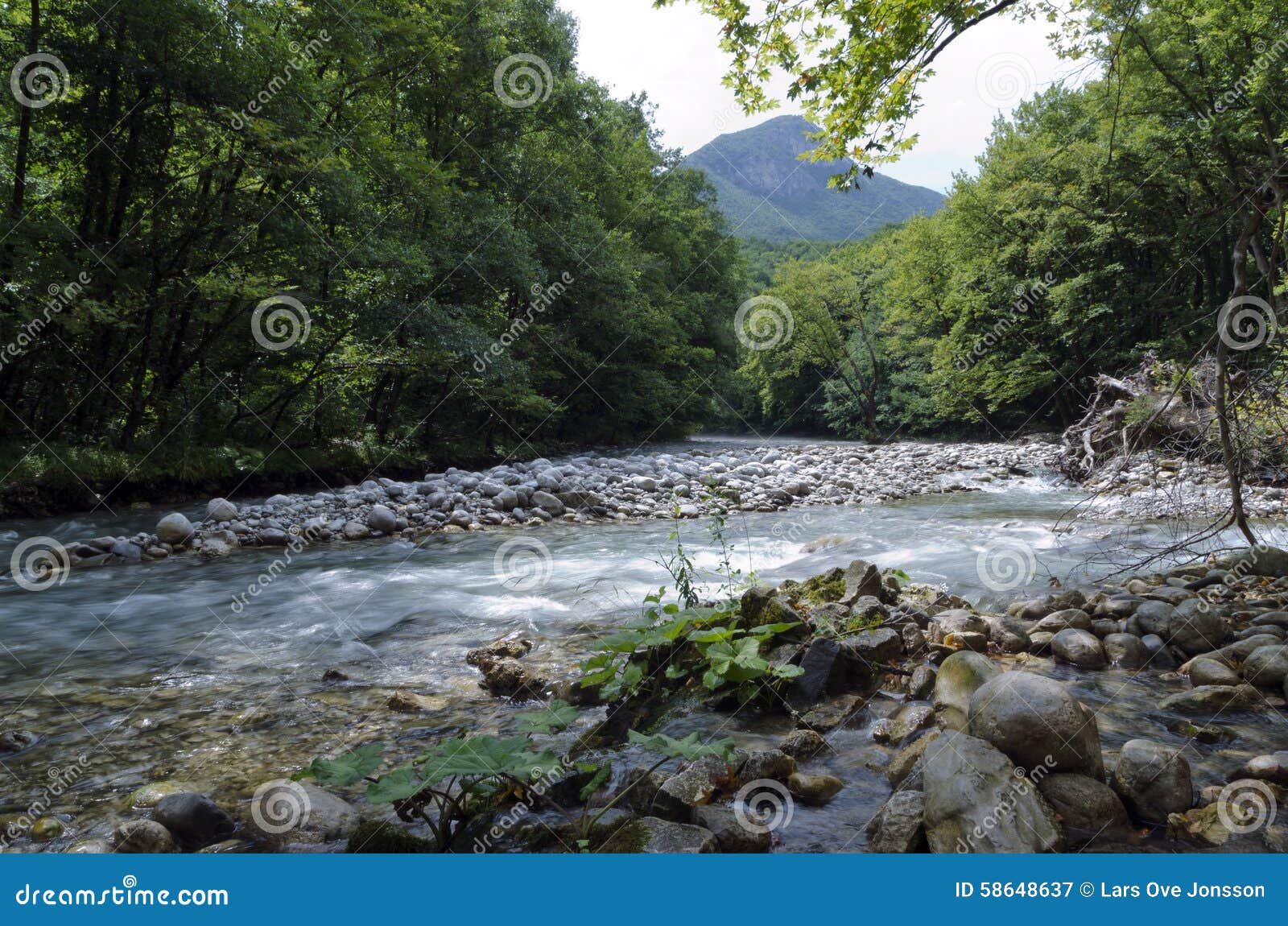 Stream stock image. Image of mountain, sunny, green, summer - 58648637