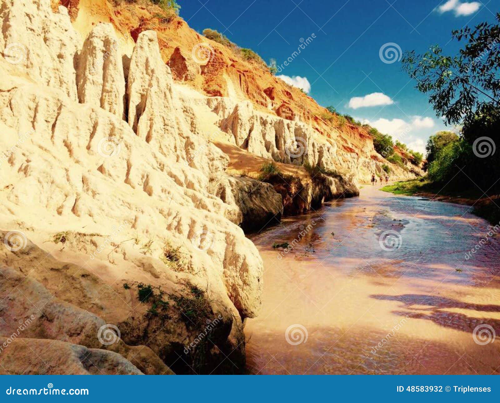 Stream stock photo. Image of green, little, nature, stream - 48583932