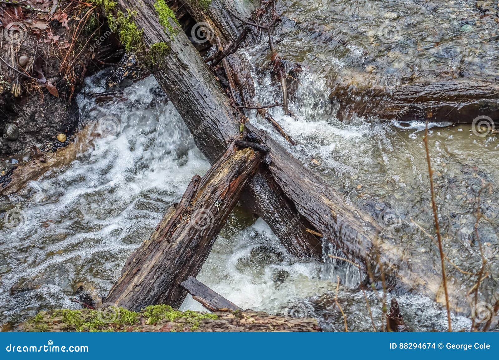 Stream with Logs Landscape 2 Stock Photo - Image of state, brook: 88294674