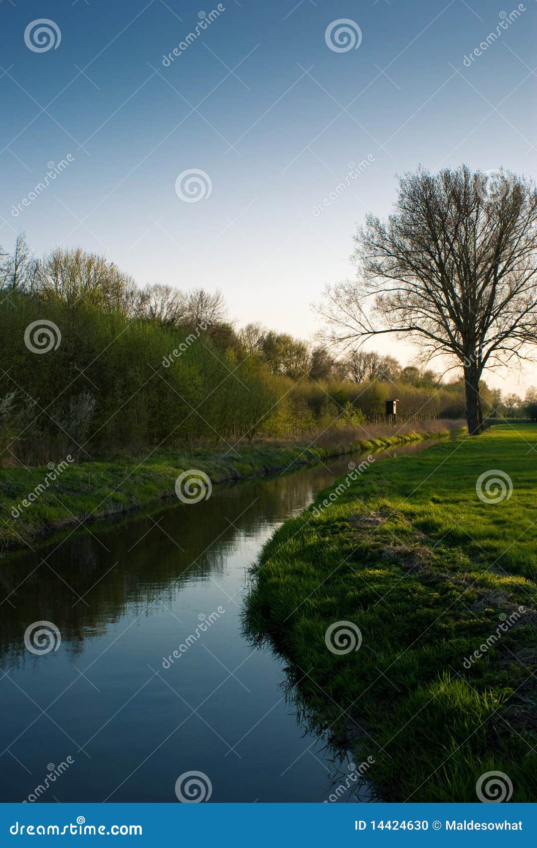 Stream and a meadow stock photo. Image of nature, wide - 14424630