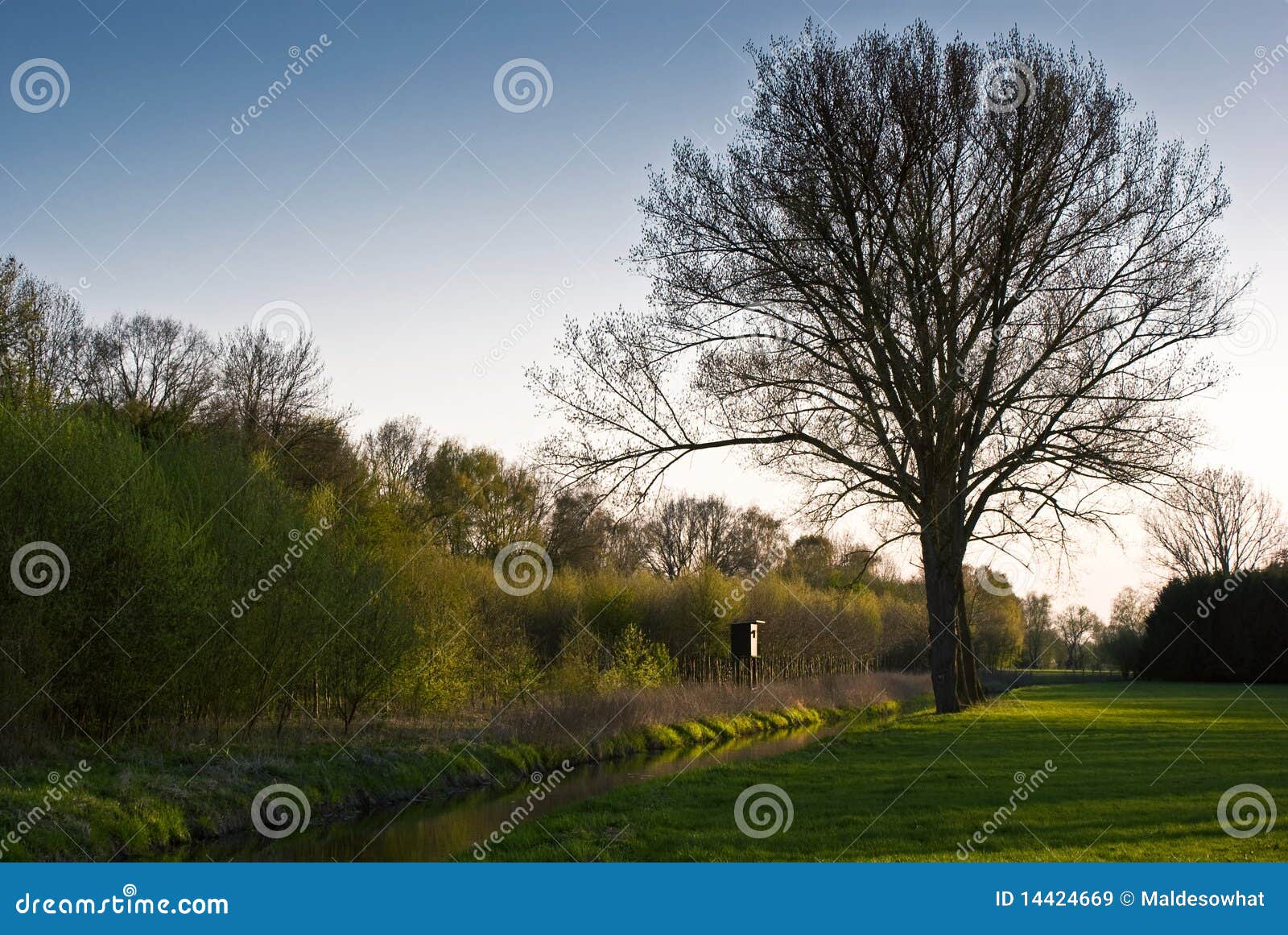 Stream and a meadow stock image. Image of quiet, water - 14424669