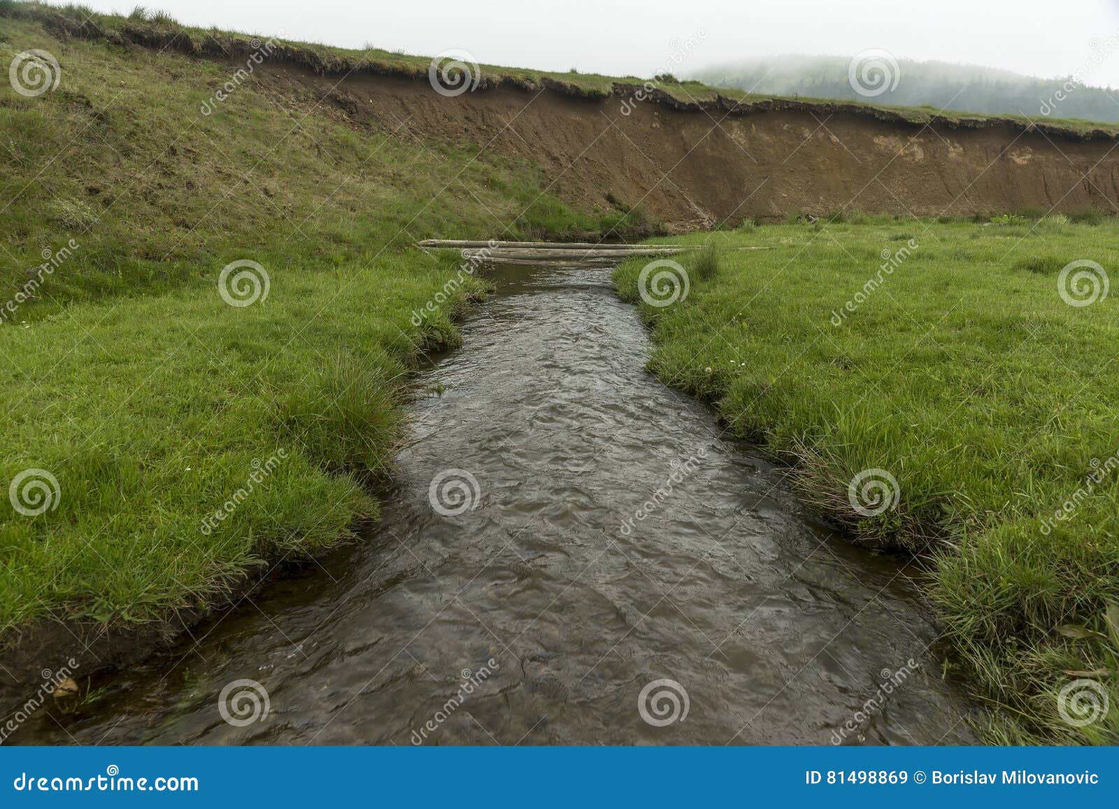 Stream on a Meadow in the Mountains Stock Image - Image of nature ...