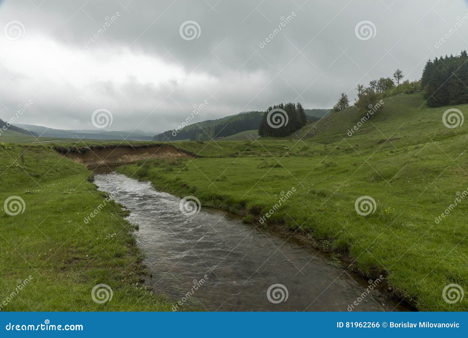 Stream on a Meadow in the Mountains Stock Photo - Image of spring ...