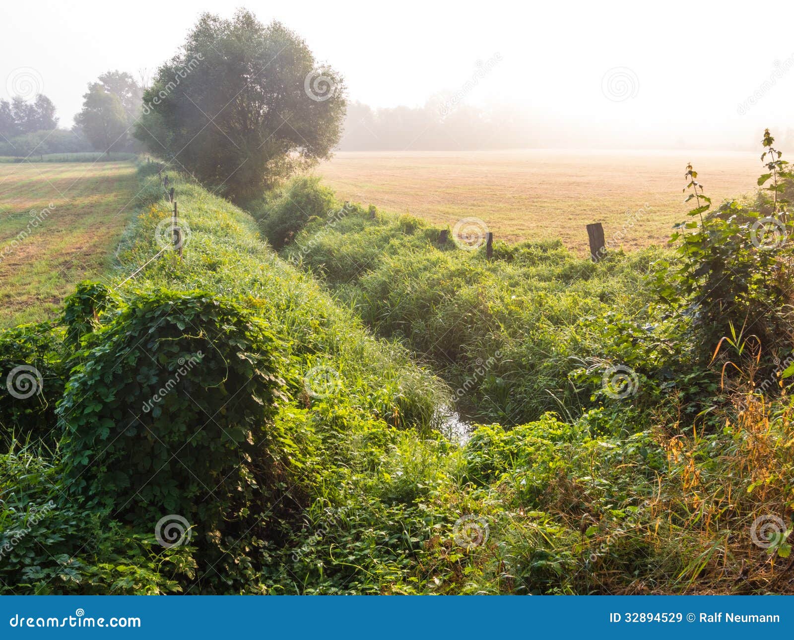 Stream between meadows stock image. Image of ditch, drops - 32894529