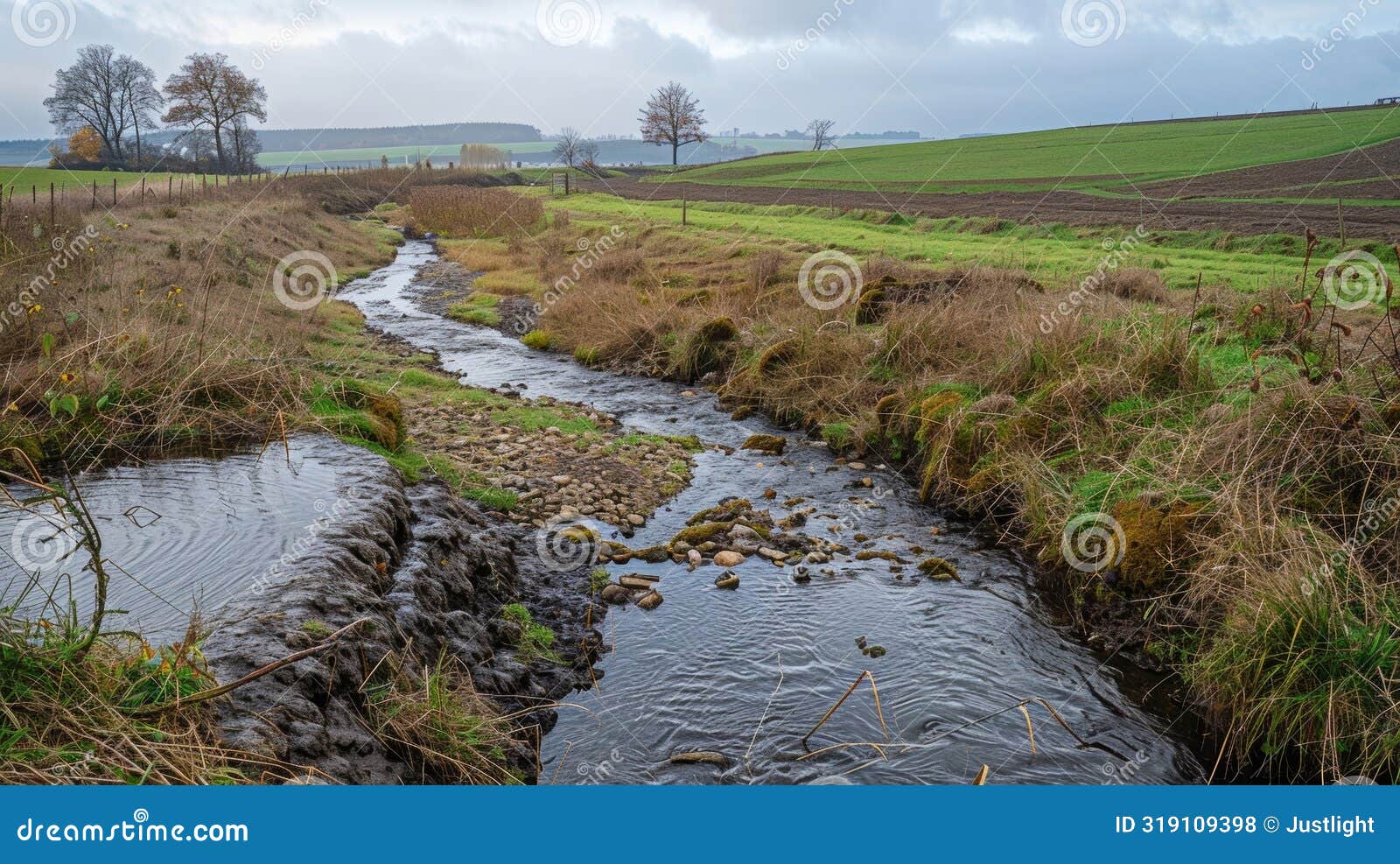 A Stream Meanders through the Landscape Providing a Source of Water for ...