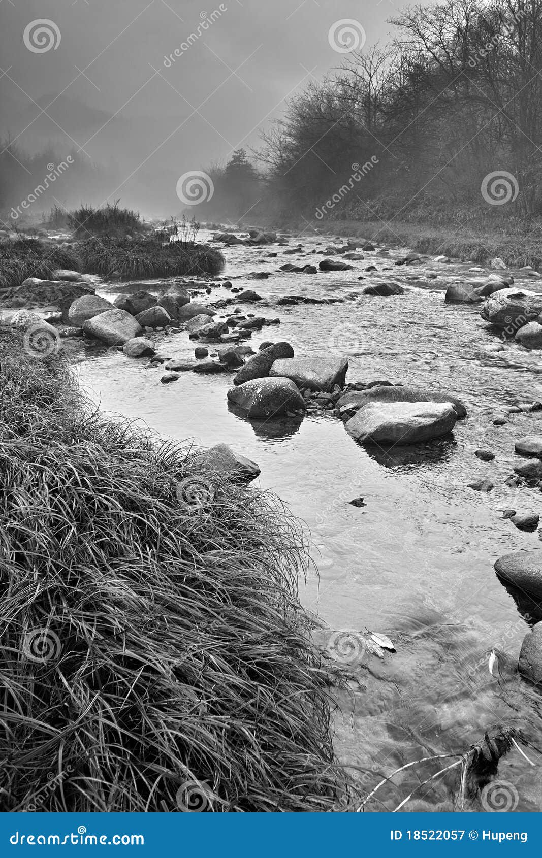 Stream in the morning stock image. Image of moist, canal - 18522057