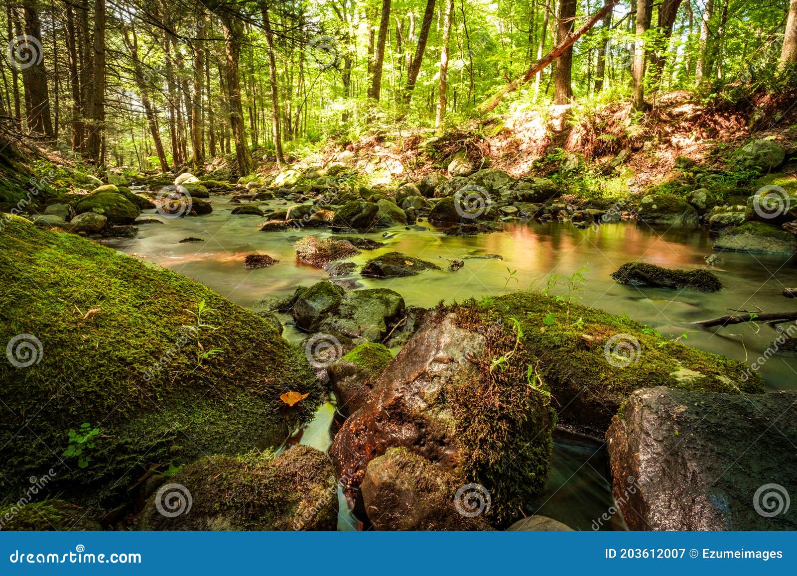 Stream Motion Blur stock image. Image of landscape, shutter - 203612007