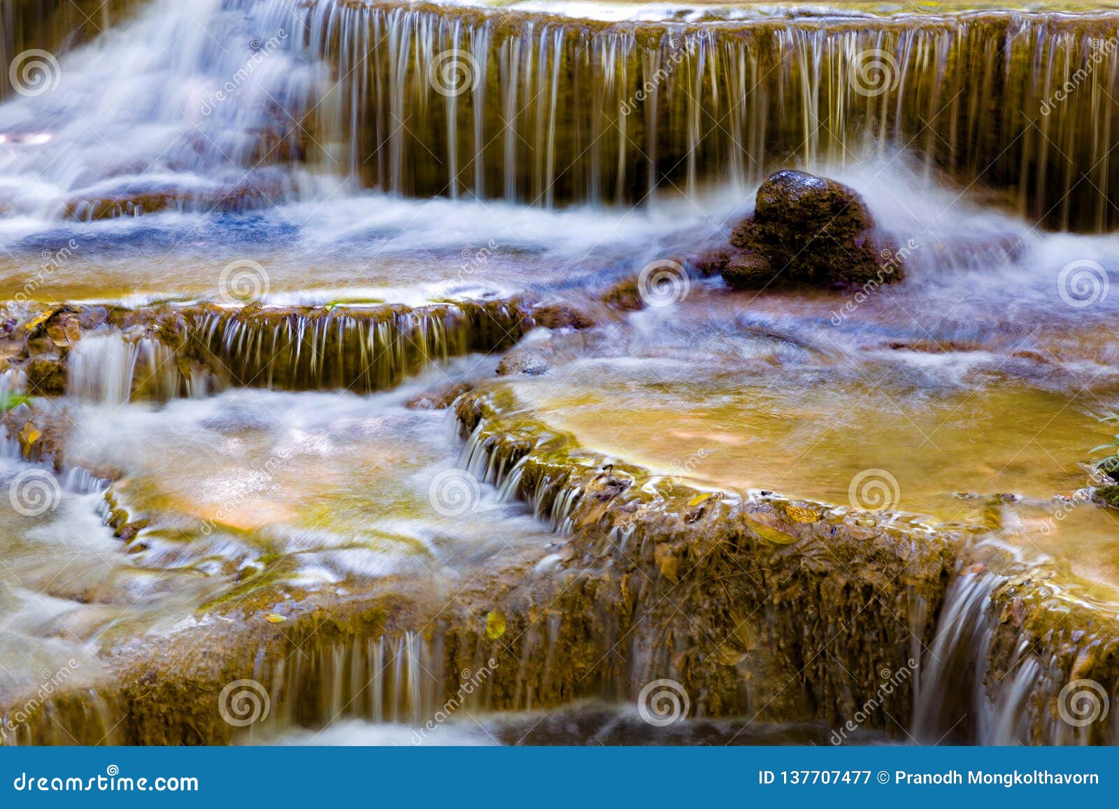 Stream Motion Deep Forest Waterfall Close Up Stock Image - Image of ...