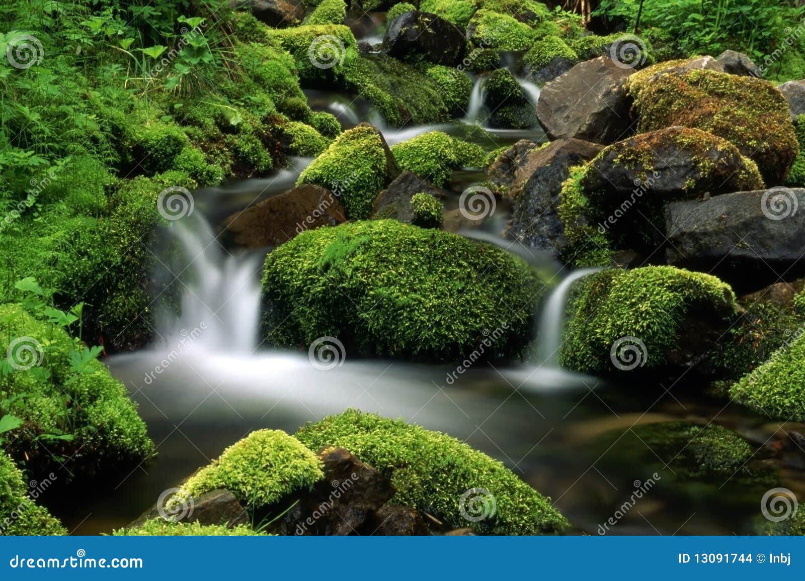 Stream in mountain stock photo. Image of park, landscape - 13091744