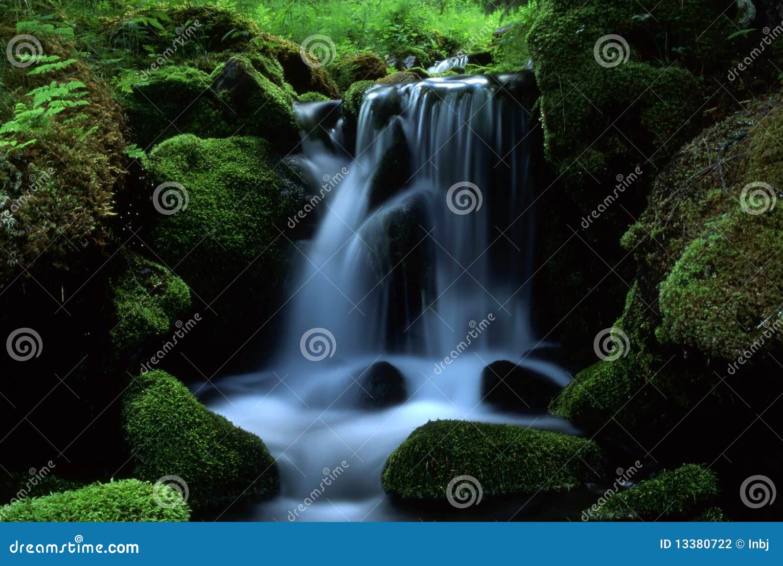 Stream in mountain stock photo. Image of environmental - 13380722