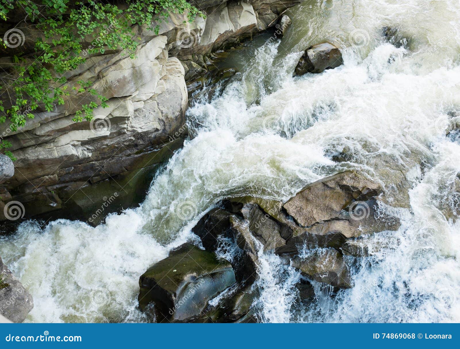 The Stream of a Mountain River in the Carpathian Mountains Stock Photo ...