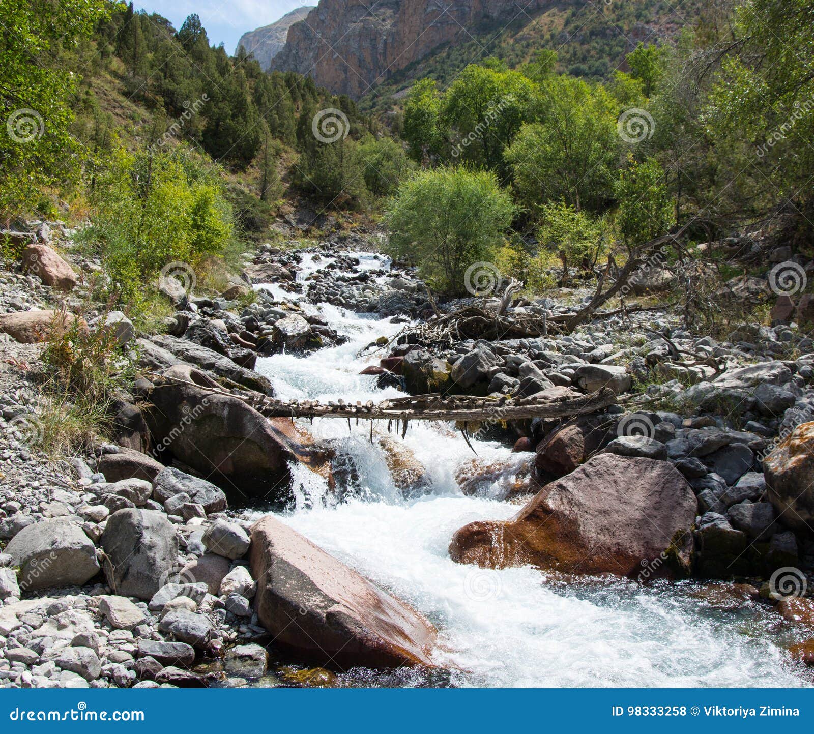 Stream of a mountain river stock photo. Image of landscape - 98333258