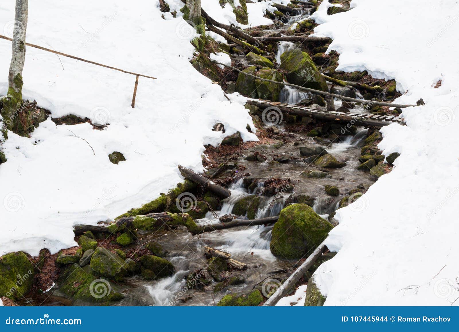 Stream in a Mountain Winter Forest. Stock Photo - Image of frosty ...
