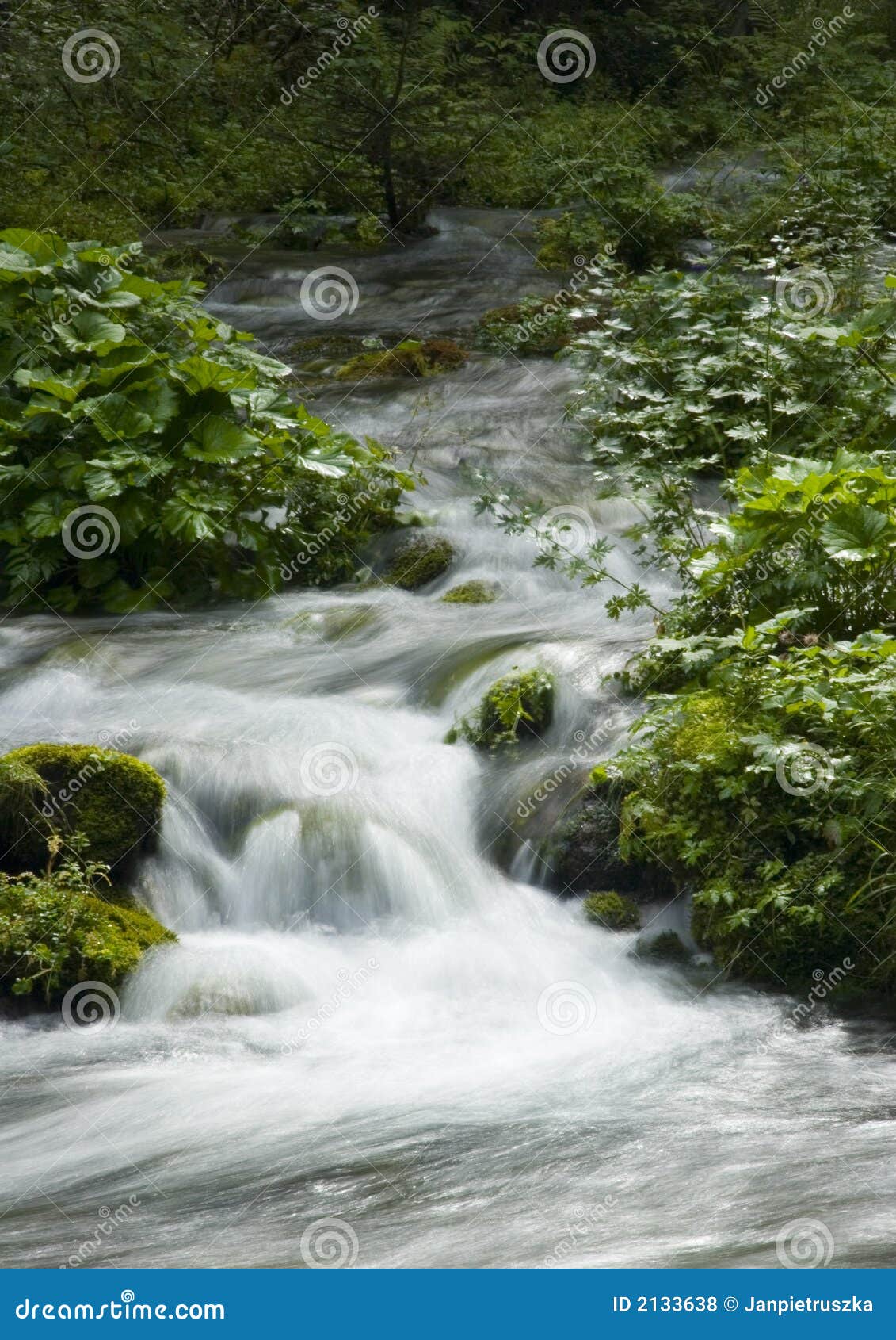 Stream in mountains stock photo. Image of mountain, poland - 2133638