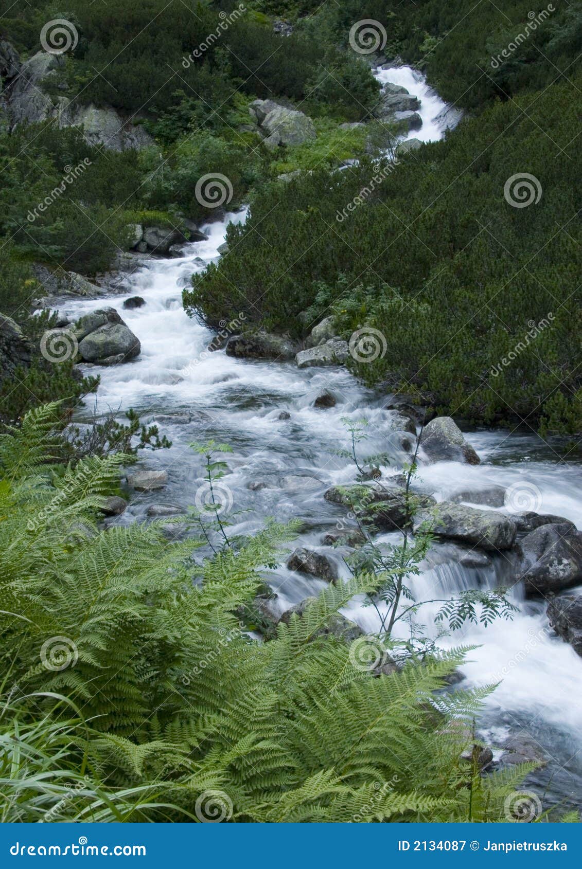 Stream in mountains stock image. Image of mountain, nature - 2134087