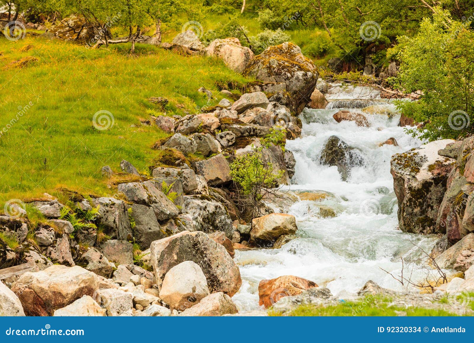 Stream in Mountains, Norway. Stock Photo - Image of natural, scenic ...