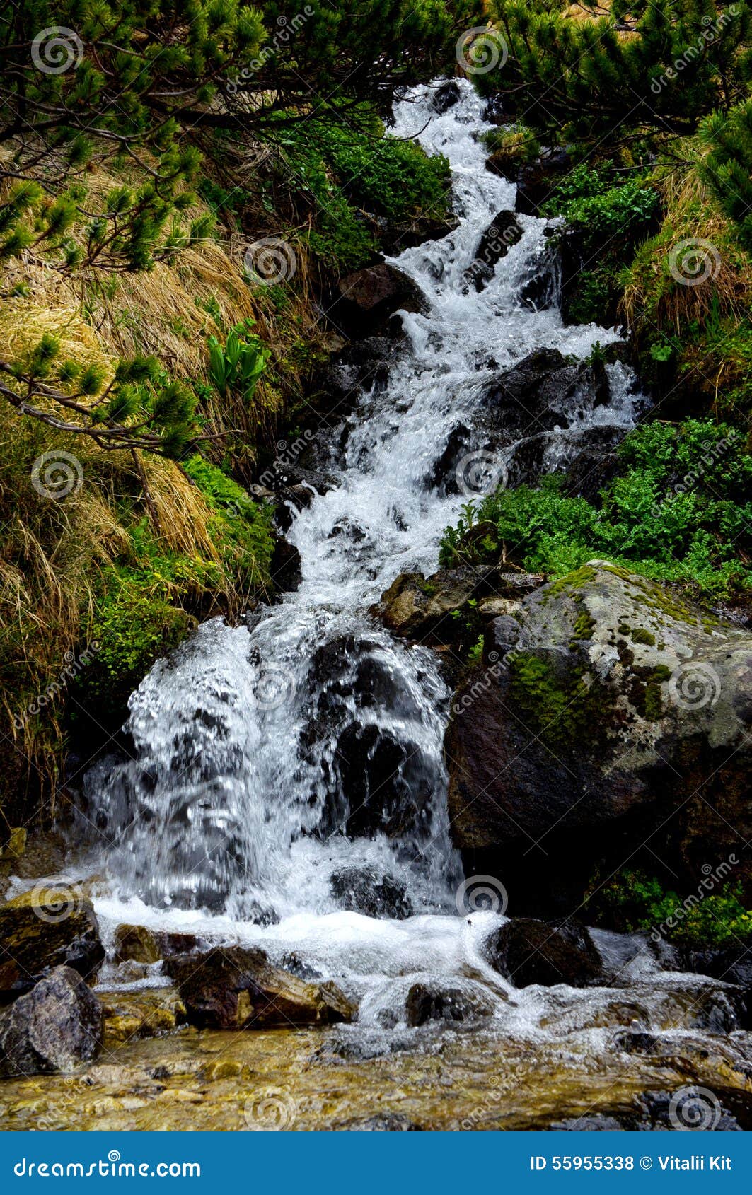 Stream in the Mountains in Spring Stock Photo - Image of appalachian ...