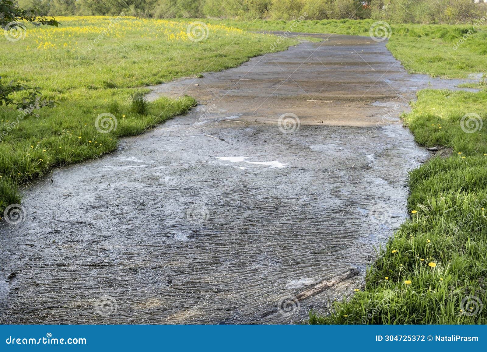 Stream with Mud, Environmental Pollution Concept. Stock Photo - Image ...