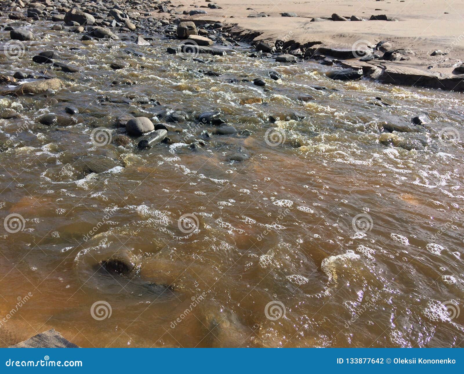 Stream with Muddy Waters, Fast Flow Stock Photo - Image of nature, flow ...