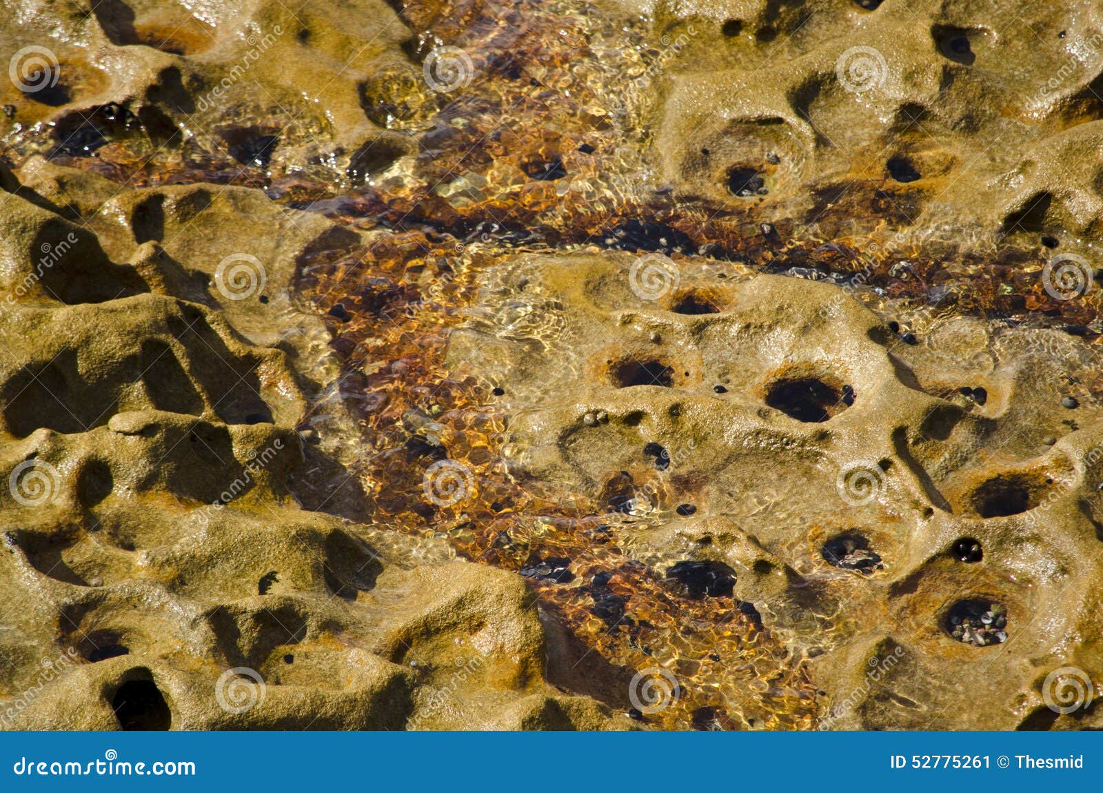 Stream through Natural Rockpool Stock Image - Image of aquatic ...
