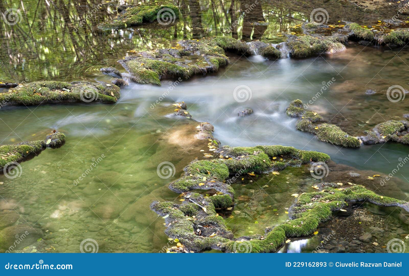 A Stream in Nature with a Long Exposure Time Stock Image - Image of ...