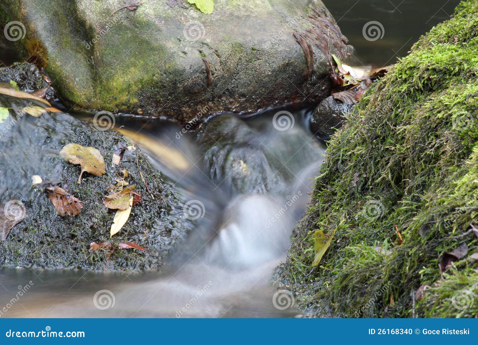 Stream nature scene stock photo. Image of flow, cascade - 26168340
