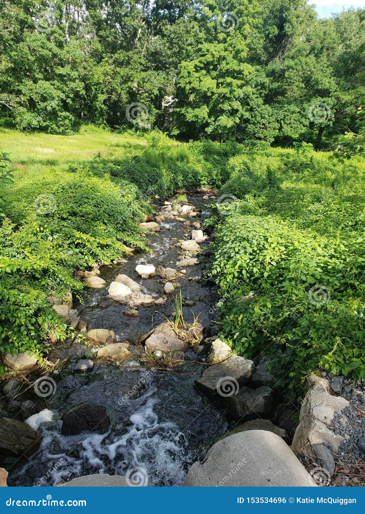 Stream Near Grist Mill Pond Stock Photo - Image of pond, stream: 153534696